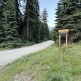 Box Lake Trail, Idaho - 267 Reviews, Map | AllTrails
