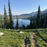 Box Lake Trail, Idaho - 267 Reviews, Map | AllTrails