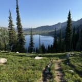 Box Lake Trail, Idaho - 267 Reviews, Map | AllTrails