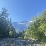 Baker River Trail, Washington - 237 Reviews, Map | AllTrails