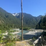 Baker River Trail, Washington - 237 Reviews, Map | AllTrails