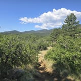 Coyote Run Loop Trail, Colorado - 280 Reviews, Map | AllTrails