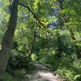 Carkeek Park via Pipers Creek Trail, Washington - 1,259 Reviews, Map ...