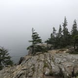 Ocean Path Trail, Maine - 3,948 Reviews, Map | AllTrails