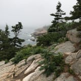 Ocean Path Trail, Maine - 3,948 Reviews, Map | AllTrails