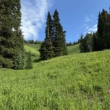 American Lake Trail, Colorado - 1,604 Reviews, Map | AllTrails