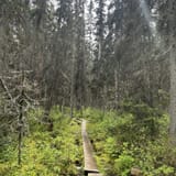 Karst Spring Trail, Alberta, Canada - 996 Reviews, Map | AllTrails