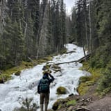 Karst Spring Trail, Alberta, Canada - 996 Reviews, Map | AllTrails