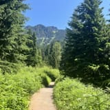 Gold Creek Pond Loop, Washington - 2,680 Reviews, Map | AllTrails
