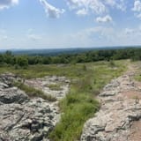 Devil's Honeycomb Trail , Missouri - 763 Reviews, Map | AllTrails