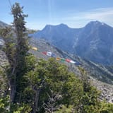 Lady Macdonald Teahouse, Alberta, Canada - 1,964 Reviews, Map | AllTrails