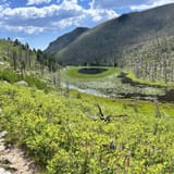 Cub Lake Trail, Colorado - 1,694 Reviews, Map | AllTrails