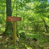 Hoye Crest (Backbone Mountain), West Virginia - 640 Reviews, Map ...