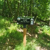 Hoye Crest (Backbone Mountain), West Virginia - 640 Reviews, Map ...
