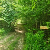 Hoye Crest (Backbone Mountain), West Virginia - 640 Reviews, Map ...