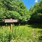 Hoye Crest (Backbone Mountain), West Virginia - 640 Reviews, Map ...