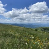 Max Patch Loop, North Carolina - 2,363 Reviews, Map | AllTrails