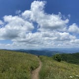 Max Patch Loop, North Carolina - 2,363 Reviews, Map | AllTrails