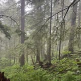 Deer Mountain Trail, Alaska - 767 Reviews, Map | AllTrails