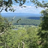 Buzzard's Roost Loop, Georgia - 384 Reviews, Map | AllTrails