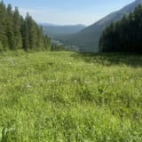 Mount Haig Lake Trail, Alberta, Canada - 403 Reviews, Map | AllTrails
