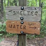 Springer Mountain, Georgia - 691 Reviews, Map | AllTrails