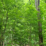 David J Culham Trail, Ontario, Canada - 1,303 Reviews, Map | AllTrails