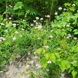 David J Culham Trail, Ontario, Canada - 1,303 Reviews, Map | AllTrails