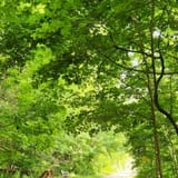 David J Culham Trail, Ontario, Canada - 1,303 Reviews, Map | AllTrails