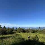 Andrews Bald Trail, North Carolina - 2,641 Reviews, Map | AllTrails