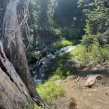 Todd Lake Loop, Oregon - 804 Reviews, Map | AllTrails