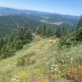 Cone Peak Trail, Oregon - 804 Reviews, Map | AllTrails