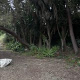 Malaga Lunada Vista Loop, California - 414 Reviews, Map | AllTrails