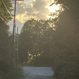 Upper Guild Trail, Tennessee - 481 Reviews, Map | AllTrails