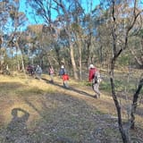 Burchell Trail: Friday's to Old Mill Campground, Victoria, Australia ...