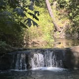 Whatcom Creek Trail Loop, Washington - 2,260 Reviews, Map | AllTrails