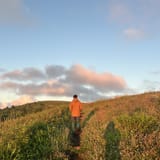 Max Patch Loop, North Carolina - 2,363 Reviews, Map | AllTrails