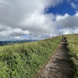 Max Patch Loop, North Carolina - 2,328 Reviews, Map | AllTrails