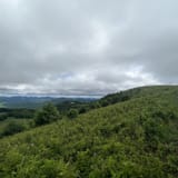 Max Patch Loop, North Carolina - 2,363 Reviews, Map | AllTrails