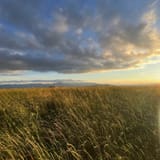 Max Patch Loop, North Carolina - 2,363 Reviews, Map | AllTrails