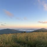 Max Patch Loop, North Carolina - 2,363 Reviews, Map | AllTrails