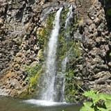 Fall Creek Falls Trail, Oregon - 375 Reviews, Map | AllTrails