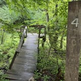 Jordan Valley Pathway, Michigan - 795 Reviews, Map | AllTrails