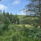 Jordan Valley Pathway, Michigan - 795 Reviews, Map | AllTrails