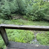 Jordan Valley Pathway, Michigan - 795 Reviews, Map | AllTrails