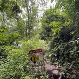 Makiki Valley Loop, Oahu, Hawaii - 6,064 Reviews, Map | AllTrails