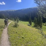Timber Lake Trail, Colorado - 693 Reviews, Map | AllTrails