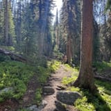 Timber Lake Trail, Colorado - 693 Reviews, Map | AllTrails