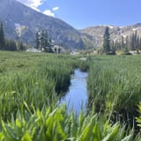 Timber Lake Trail, Colorado - 688 Reviews, Map | AllTrails