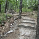 Atlantic White Cedar Swamp Trail, Massachusetts - 1,022 Reviews, Map ...